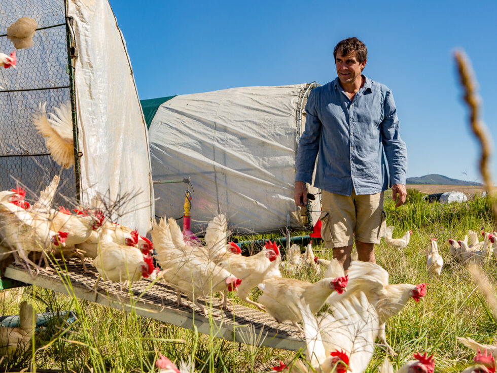 Angus McIntosh - Mail & Guardian Greening The Future